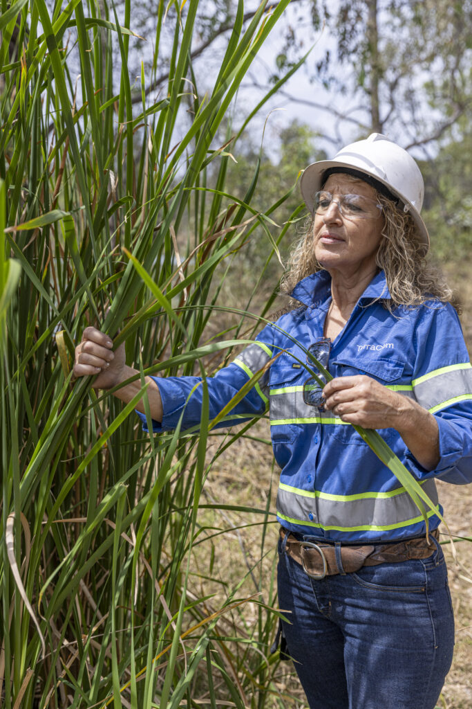 Investor Centre - TerraCom